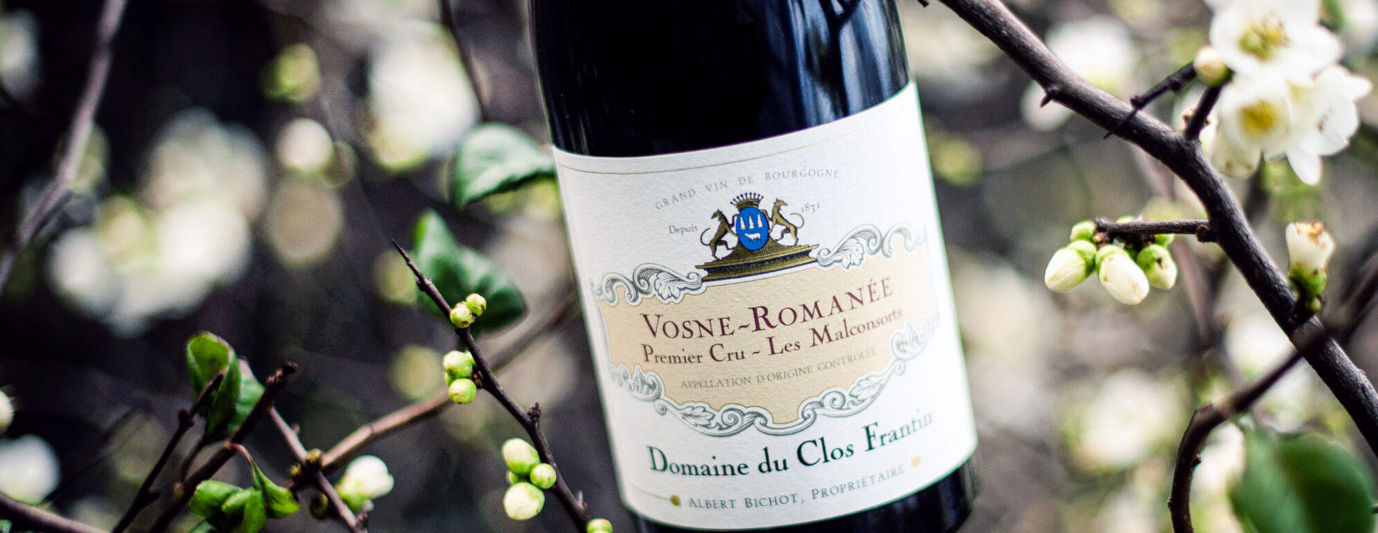 Red wine – Honest Grapes